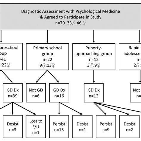 Flowchart Showing Assessment And Treatment Outcomes In The Four