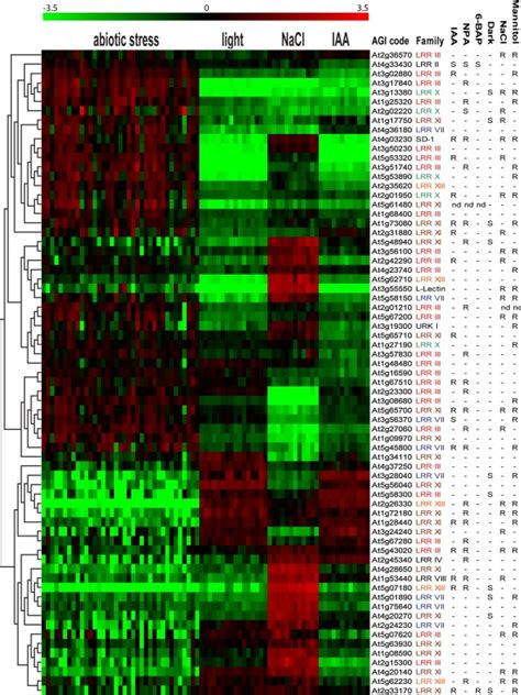 Cluster Analysis Of Lrr Rlks Expression Combined With Functional Data