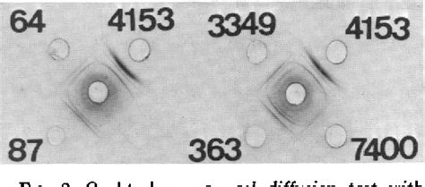 Structure Of Vena Comitans Nervi Hypoglossi Semantic Scholar
