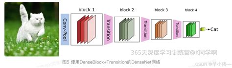深度学习基础 cnn经典网络之“densenet”简介，源码研究与复现 pytorch resnet densenet csdn博客