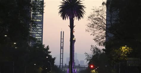 Cdmx 将把 Cycloton 献给拉帕尔玛改革党 Infobae