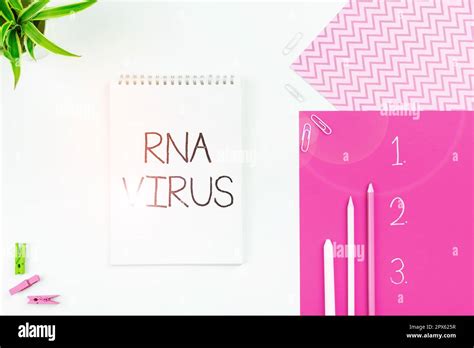 Text Showing Inspiration Rna Virus Business Approach A Virus Genetic Information Is Stored In
