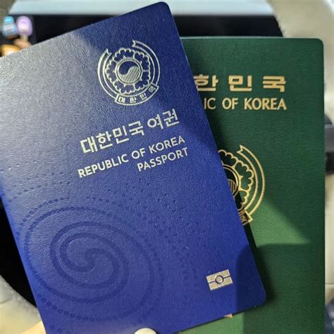온라인 여권 재발급 갱신 기간 준비물 비용 여권사진 찍는법 옷 색깔 규격 네이버 블로그