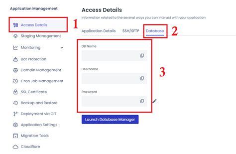 How To Connect Cloudways Database In Python Data Witchery