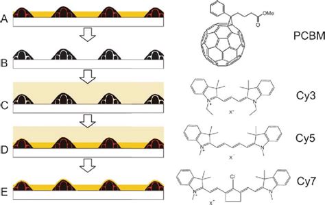 Schematic Drawing Of The Re Adsorption Cycle And Molecular Structure Of