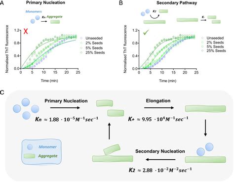 Spontaneous Nucleation And Fast Aggregate Dependent Proliferation Of α Synuclein Aggregates