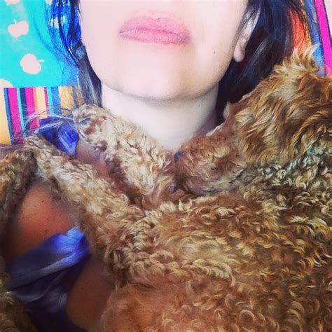 Julias Blog