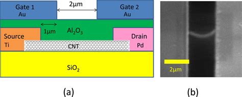 A Schematic Cross Section Of The Device Structure The Split Gate Download Scientific Diagram