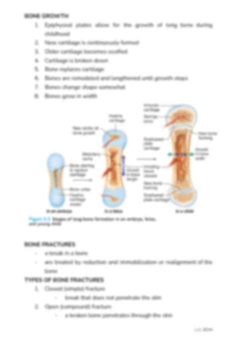 SOLUTION Anatomy And Physiology Skeletal System Notes Studypool