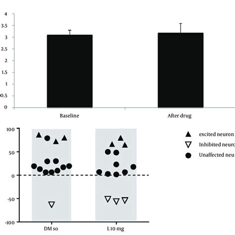 A Schematic Position Of The Ca1 Region Of The Hippocampus In The Download Scientific Diagram
