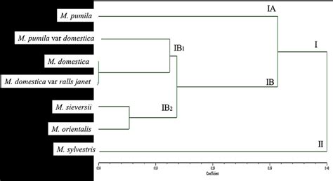 Dendrogram Showing Genetic Relationships Among 7 Taxa Of Apple