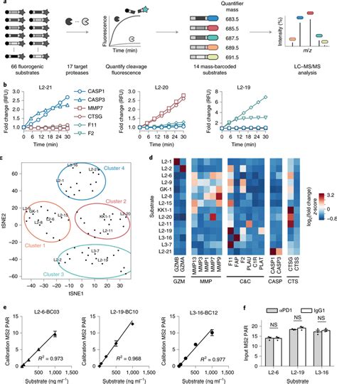 mass barcoded peptide sensors for multiplexed detection of protease