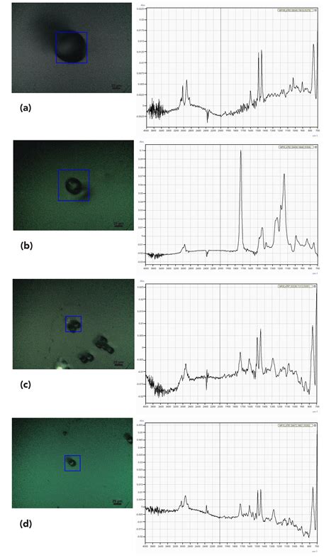 Insights Toward Standardization Of The Analysis Of Microplastics By Infrared Microscopy