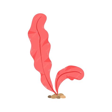 Premium Vector Algae