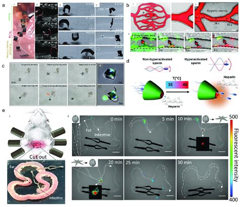 Medical Applications Of 4d Printed Microrobots A I Soft Robot Download Scientific Diagram