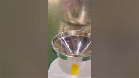 동애등에 착유🦗😖 참기름짜는기계 참기름기계기름기계기름짜는기계참깨착유저온착유콜드프레스oilpresscoldpress Youtube