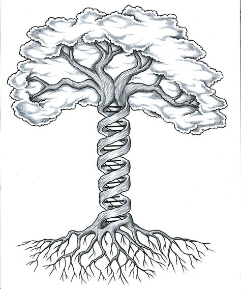 Tree Of Life By BlvqWulph On DeviantArt