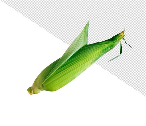 Premium Psd Corn Png