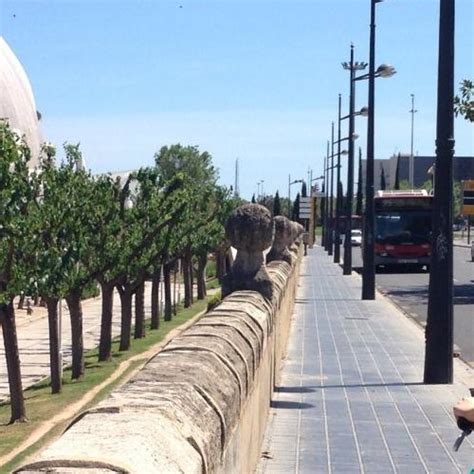 Gizzy Gizzy Camgirls Gizzy Mfc Gizzy Webcams