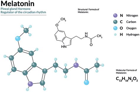 Sleep Solutions To Help You Get The Rest You Need