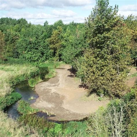 How Trees Can Help Create Healthier Rivers Trent Rivers Trust