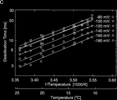 Temperature Dependence Of Fast Gate Of Wt Clc 0 A Voltage Clamp