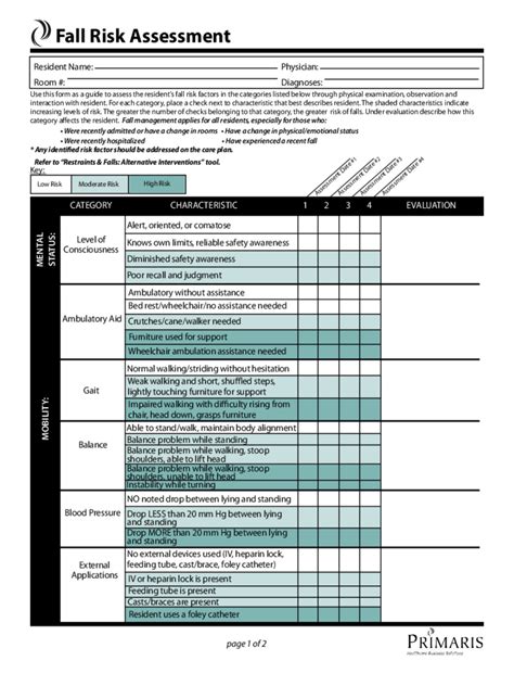 Fall Risk Assessment Form 2 Free Templates In PDF Word Excel Download