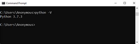 如何运行 Python 脚本 码农参考