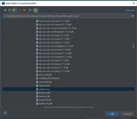How To Let The Interpreter Pointing To The Virtual Environment Having Been Created Under Anconda