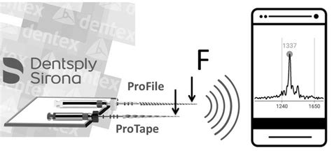 the practical application of the method for estimating the