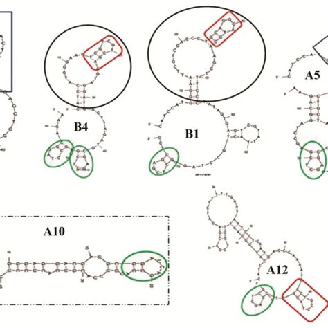 secondary structure prediction secondary structures of five selected