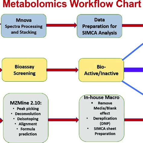 Metabolomics Workflow Chart To Aid Isolates Selection Download Scientific Diagram