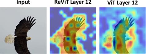 Figure 1 From Revit Enhancing Vision Transformers Feature Diversity