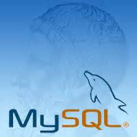 Get MySQL Table Size