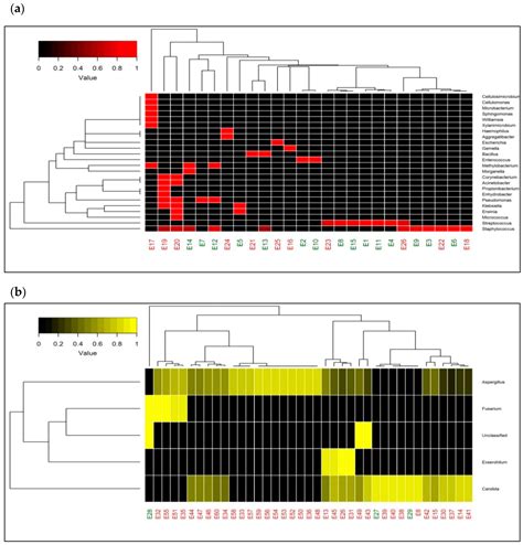 Targeted High Throughput Sequencing Identifies Predominantly Fungal Pathogens In Patients With