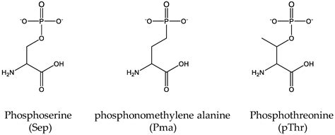 Phosphoserine