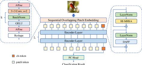 Figure 1 From Bridging The Gap Between Vision Transformers And Convolutional Neural Networks On