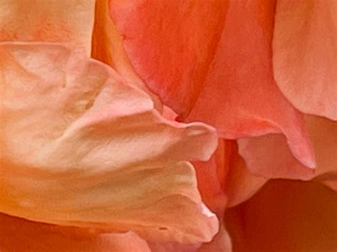 16 — Healing The Global Intimacy Disorder With A New Politics Of