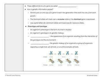 Unit Genetics Google Docs Notes By Mammoth Science TPT
