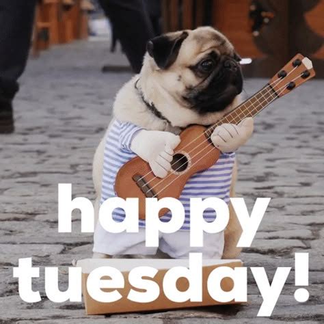 Happy Tuesday Funny 