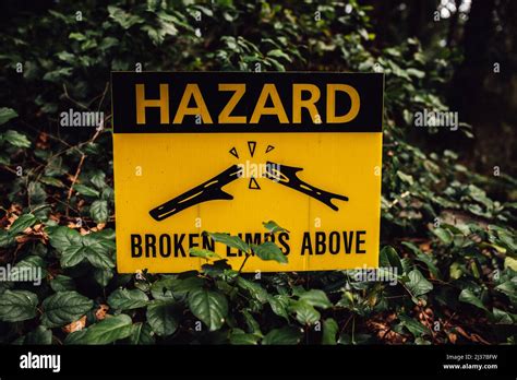 Yellow Hazard Sign Broken Limbs Above Tree Safety Warning In Arboretum Park Seattle WA Stock