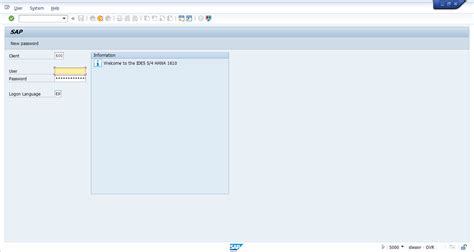 Mengubah Tampilan Fiori Visual Theme Pada Sap Gui 750 Menjadi Tampilan