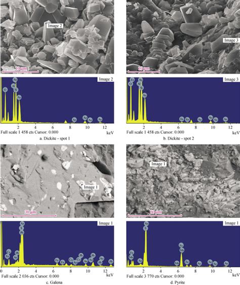 Sem Images And Energy Spectra Of Authigenic Minerals Download