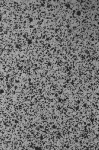 Digital Image Correlation Speckle Pattern Example Download Scientific Diagram