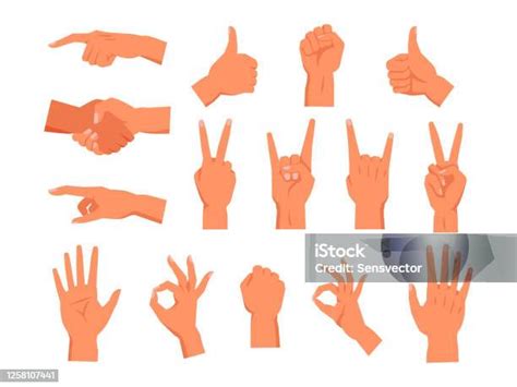 벡터 손 제스처 집합입니다 비 구두 손바닥 기호 움켜쥐거나 제기 된 주먹 손가락 가리키는 또는 터치 엄지 손가락 악수 뿔이나