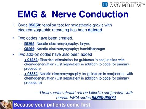 Ppt 2006 Cpt Coding Update Powerpoint Presentation Free Download