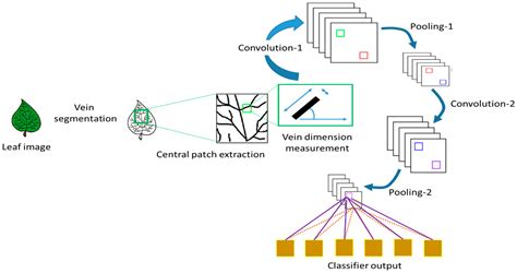 Review On Techniques For Plant Leaf Classification And Recognition