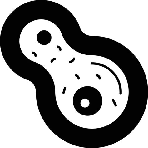 Binary Division Yeast Over 4 Royalty Free Licensable Stock