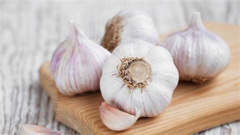 How To Increase Wbc Count By Food Medguidance