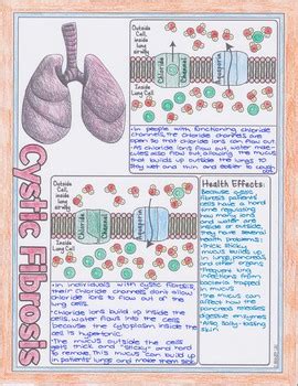 Facilitated Diffusion Biology Doodle Diagrams By Science With Mrs Lau